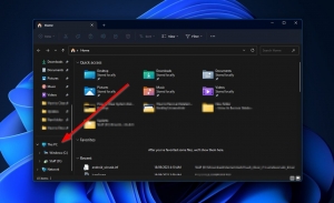 Where Do Deleted Files Go in Windows 10: a Detailed Guide